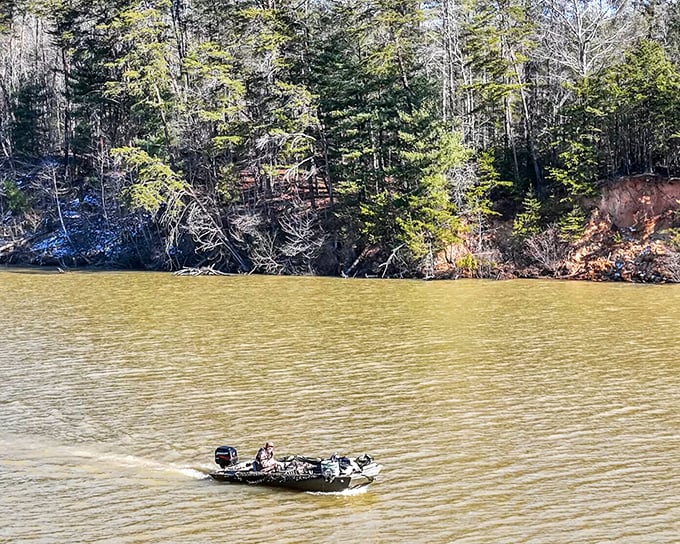 A lone fishing boat glides across Lake James' golden waters, surrounded by the kind of pristine shoreline that makes anglers weak at the knees.