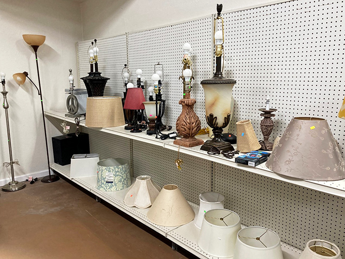 This lamp collection could literally brighten your day&mdash;or at least that dark corner of your living room that's been begging for illumination.