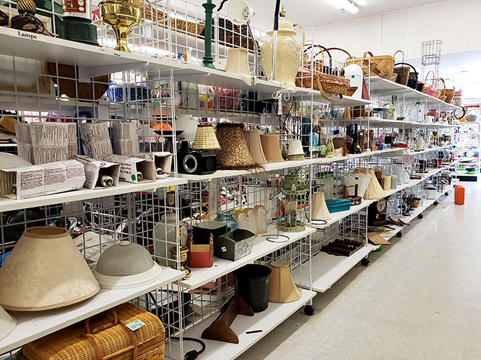 Lampshade wonderland! One person's dated decor is another's vintage find&mdash;just add electricity and watch your room transform.