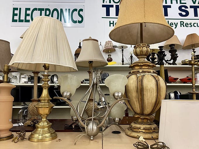 The lamp section: where vintage lighting fixtures stand at attention, each one hoping to be the brightest idea you've had all day.