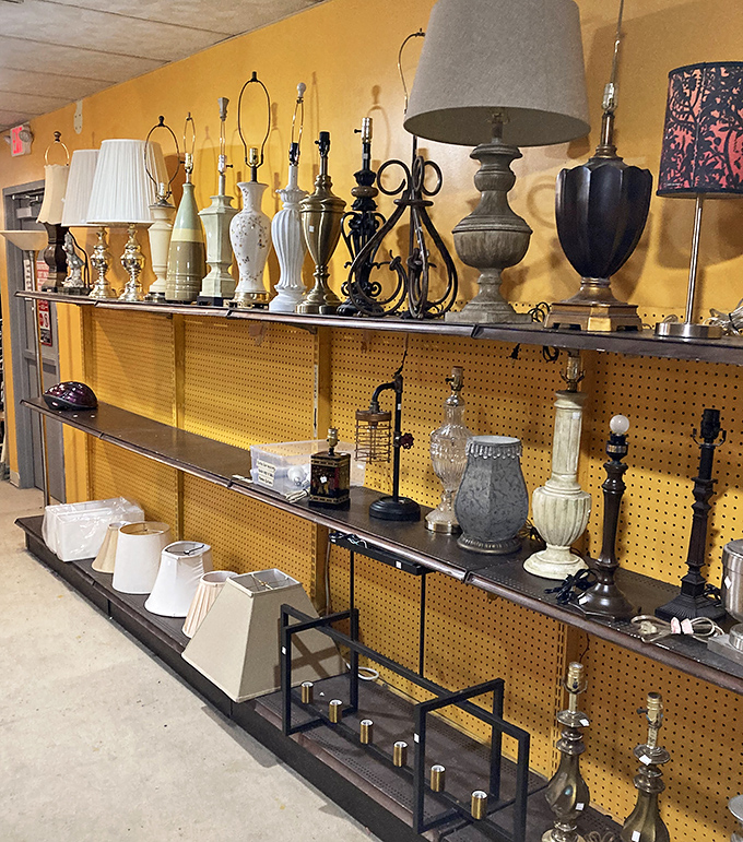 Lamp shopping that won't leave you light-headed from sticker shock. These illuminating finds range from grandmillennial chic to mid-century modern.