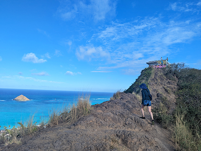 The trail rewards your huffing and puffing with views that make your fitness tracker feel suddenly worthwhile. 