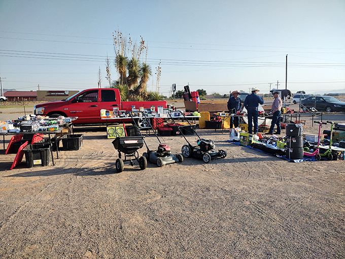 The lawn equipment section: where one person's "I don't need this anymore" becomes another's "just what I've been looking for!"