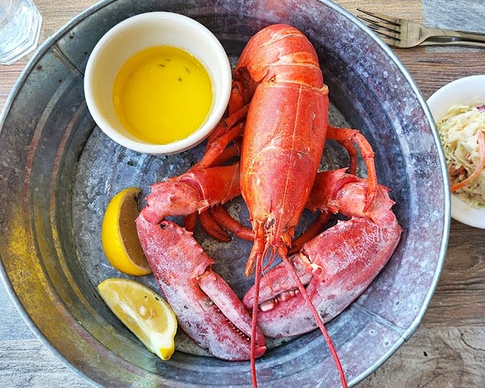 The whole ocean on a metal platter – this magnificent red lobster practically winks at you before becoming dinner.