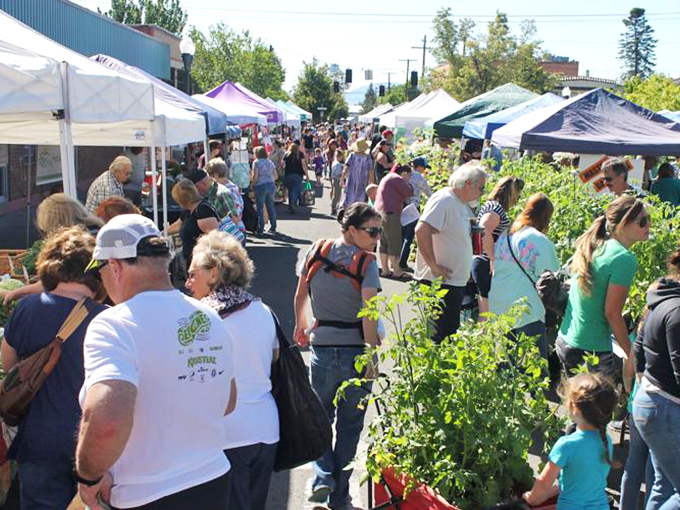 The farmers' market buzzes with community energy, where locally grown produce meets locally grown conversations, creating the small-town connectivity many crave.