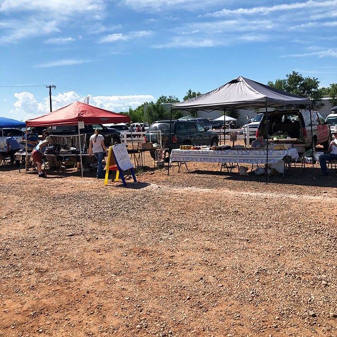 Local farmers market where conversations flow as freely as fresh produce. These gatherings are social events as much as shopping opportunities.