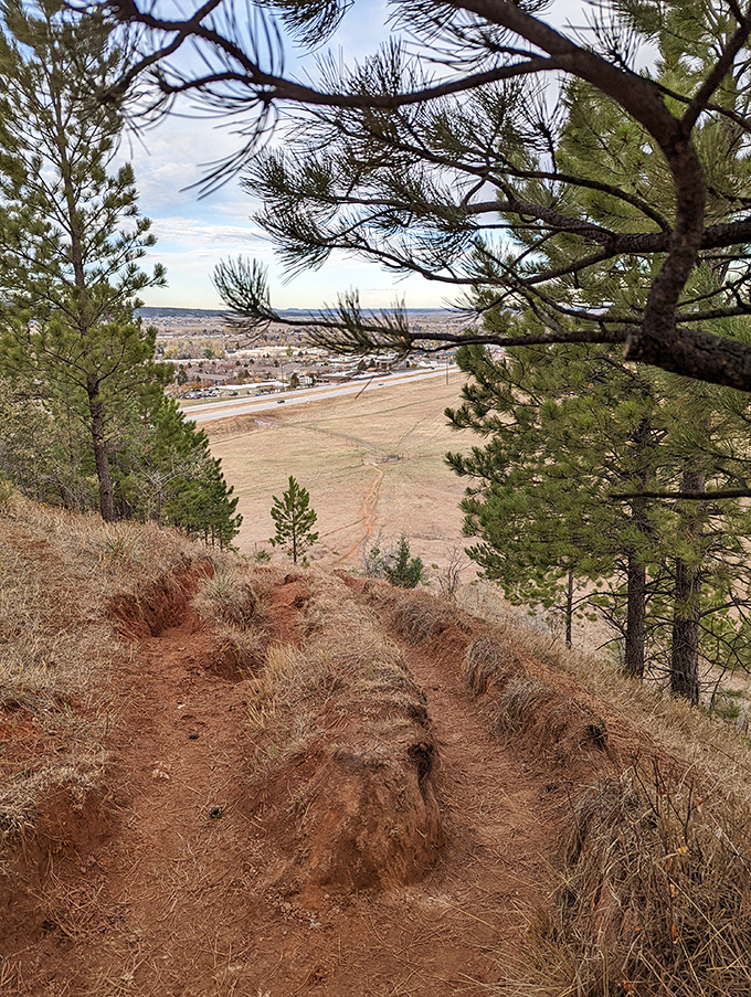 Hiking Lookout Mountain Trail rewards sweaty efforts with panoramic views that make smartphone cameras seem woefully inadequate.