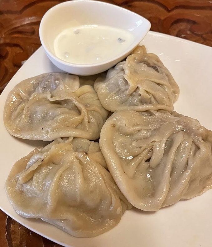 Manti dumplings—like little edible treasure chests where the gold inside is perfectly spiced beef, waiting to be dipped in that cloud of sour cream.