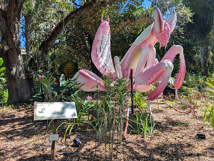 This pink mantis sculpture proves that even insects can be divas when given the chance. Striking a pose that says, "Yes, I know I'm fabulous."