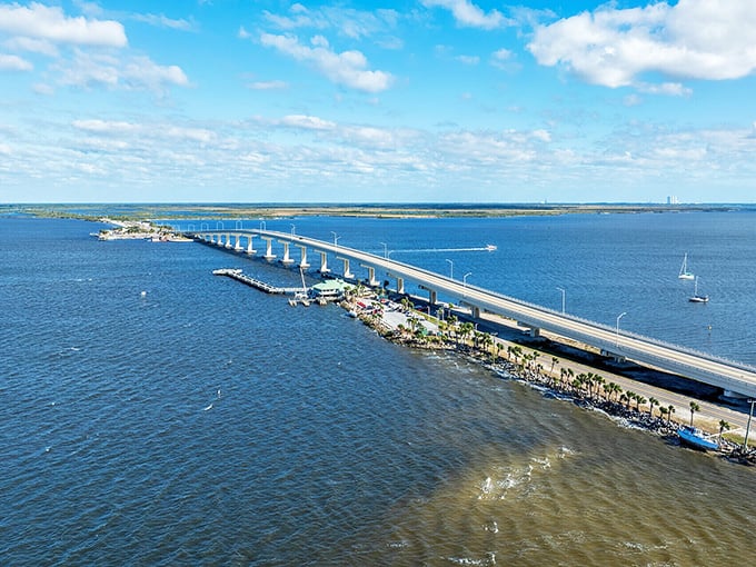 The Max Brewer Bridge connects communities and provides sunset viewing spots that rival any expensive dinner theater.