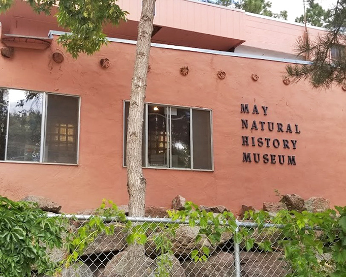 The May Natural History Museum &ndash; where Herkimer's smaller cousins reside, proving Colorado takes its insect appreciation to extraordinary levels.