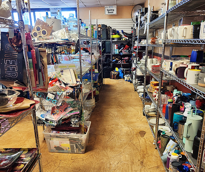 Aisle after aisle of possibility &ndash; where household necessities meet unexpected treasures in this carefully organized wonderland of secondhand goods.