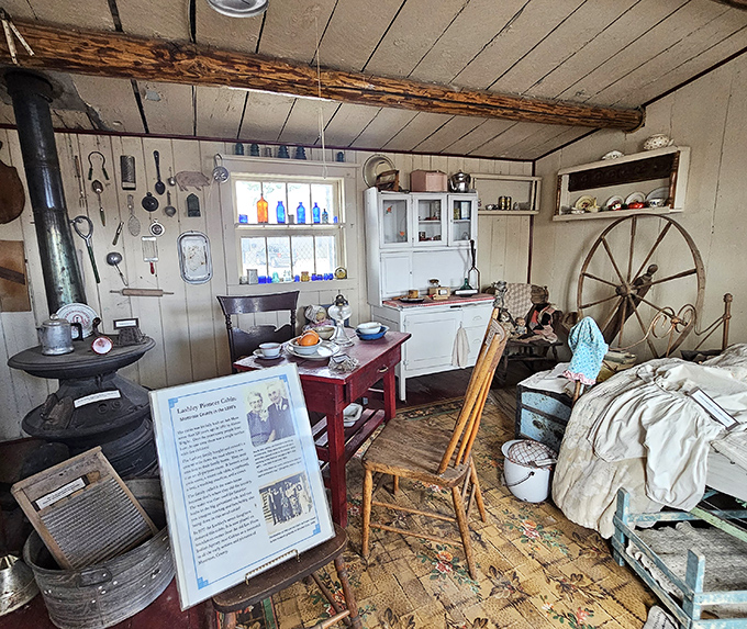 Inside the Historical Museum, where local stories prove truth is stranger than any Western fiction.