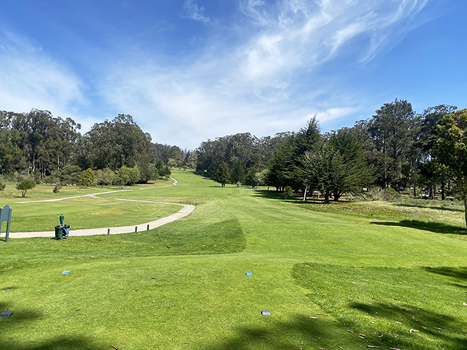 The municipal golf course offers surprisingly affordable greens fees with views that would cost a fortune at fancier coastal resorts.