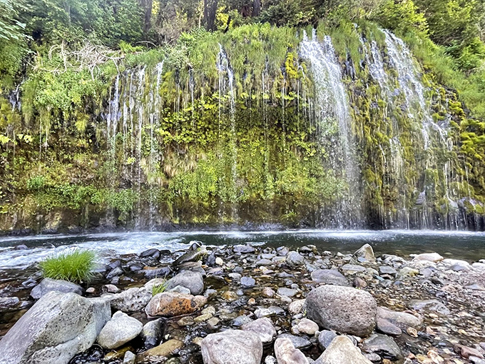 Mossbrae Falls creates a verdant curtain of water, like Mother Nature decided to hang the most spectacular shower curtain imaginable.
