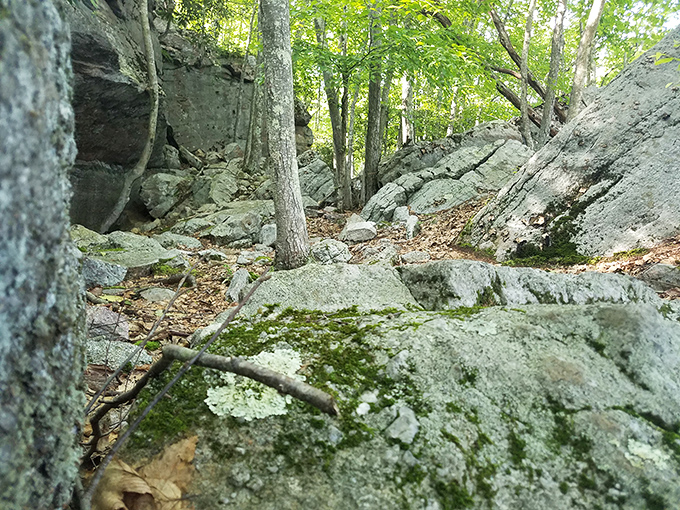 The trail less traveled offers mossy rocks that have been perfecting their look for thousands of years. Nature's interior decorators never disappoint.
