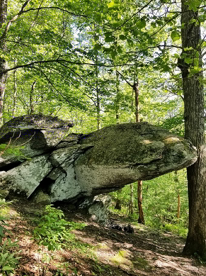 This rock formation looks like nature's attempt at sculpture. Millions of years of erosion created what modern artists would charge millions for.