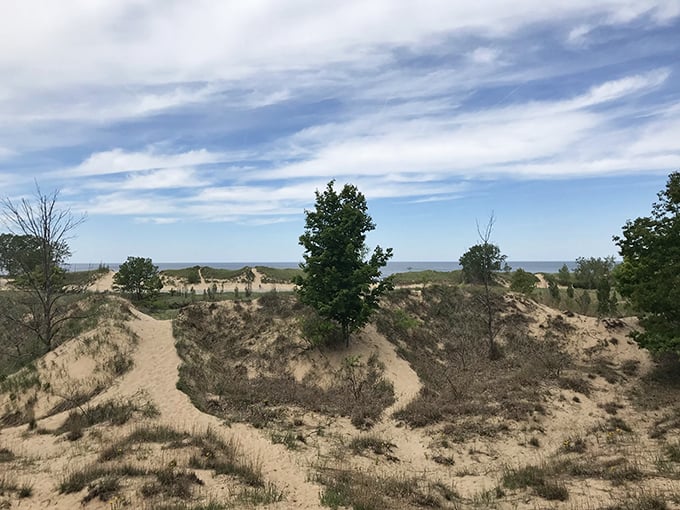 Mount Baldhead's stairway offering views worth every step, though your knees might request advance notice.