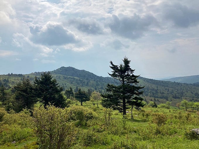 Nature's cathedral! The rolling highlands near Troutdale offer the kind of spiritual experience that makes even committed atheists whisper "amen" under their breath.