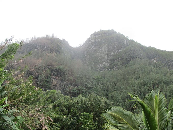 Misty mountain majesty that makes Lord of the Rings scenery look like a community theater backdrop.
