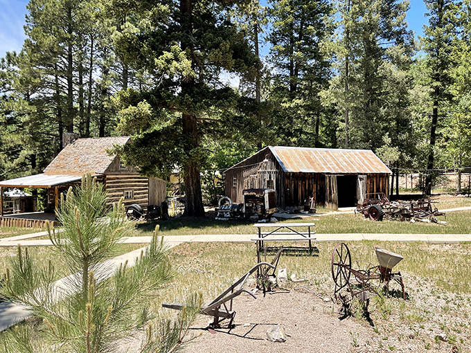 Pioneer Village's weathered structures tell tales of mountain resilience. These aren't movie props&mdash;they're authentic chapters of Sacramento Mountain history.