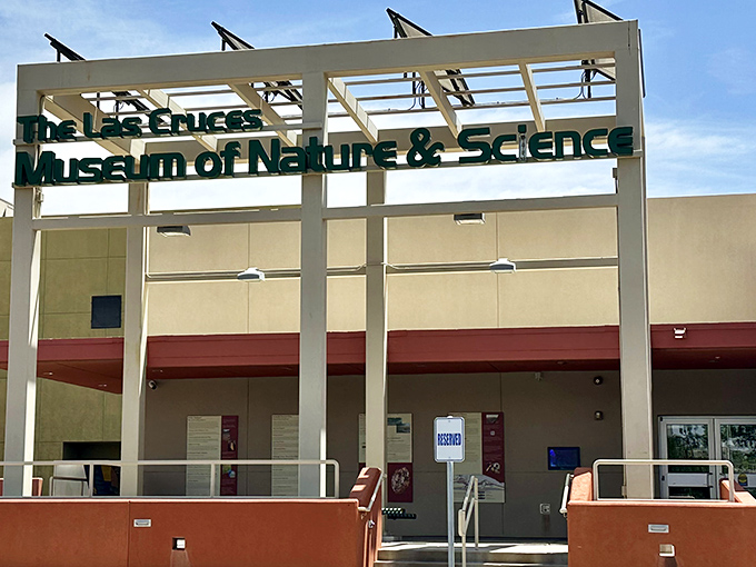 The Las Cruces Museum of Nature & Science proves learning can be fun—especially when dinosaurs and desert ecology are involved.