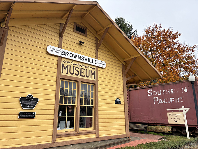 The yellow Linn County Historical Museum, housed in a former train depot, preserves stories of pioneers who shaped this valley.