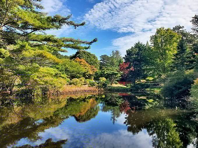 Mytoi's tranquil pond reflects both sky and foliage, creating a Japanese-inspired oasis that feels wonderfully incongruous on this quintessentially New England island.