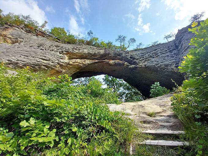 Natural Bridge stands as Kentucky's stone rainbow, formed over millennia by water that clearly had architectural ambitions.