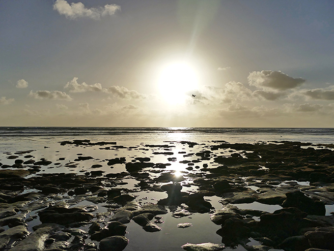 Golden hour alchemy &ndash; when sunlight transforms ordinary tide pools into magical portals filled with liquid gold.