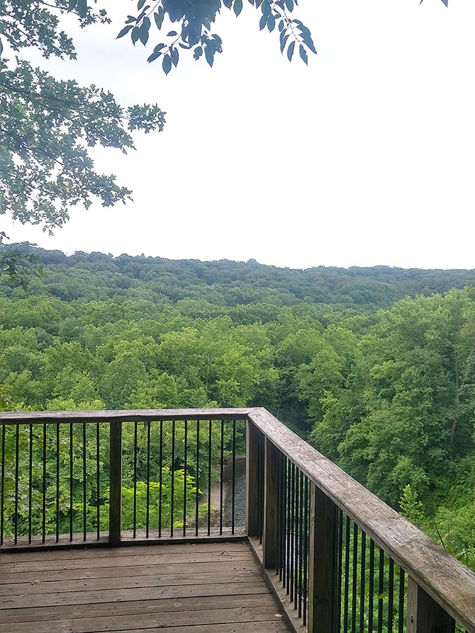 Sometimes the best therapy is a wooden deck and an endless view. The perfect prescription for modern life's constant notifications.