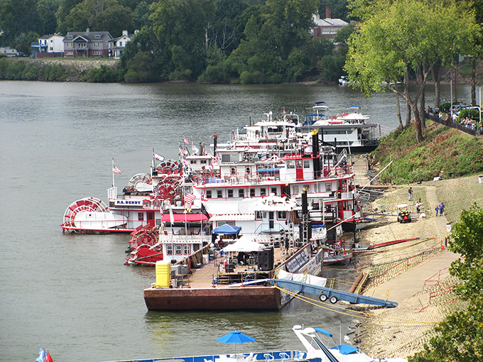 A flotilla of sternwheelers lined up like vintage cars at a classic auto show&mdash;each paddlewheel tells a story of river commerce and adventure.