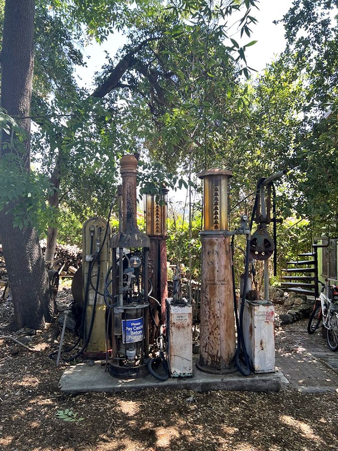 A collection of vintage gas pumps stands like industrial sculptures, reminding us of a time when filling stations had style and character.