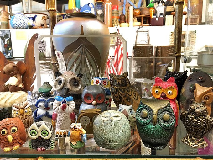 The owl collection that will make you question everything you thought about collecting. Quirky, charming, and oddly compelling all at once.
