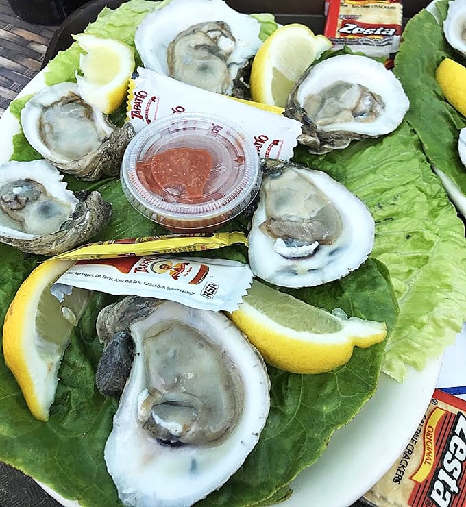 Oysters presented with the reverence they deserve. These briny treasures on the half-shell are like tasting the ocean's finest moments.