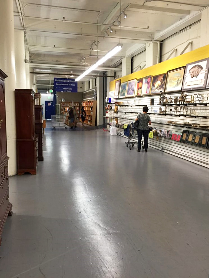 Wide corridors and thoughtful organization make treasure hunting a pleasure rather than the claustrophobic scramble found at lesser thrift stores.