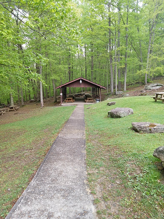 This covered picnic shelter has hosted countless family reunions, each one adding to its collection of happy memories.