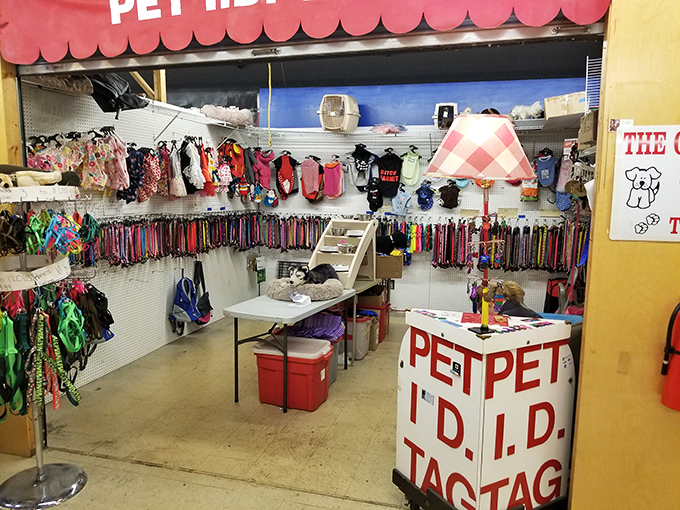 Pet paradise where Fido's fashion sense gets the respect it deserves. More collar options than most humans have neckties, proving our pets often dress better than we do.