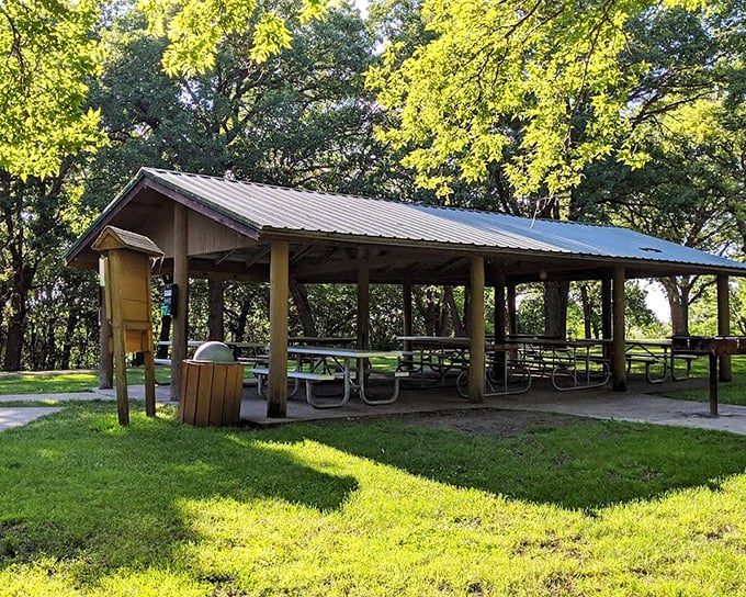 Picnic tables under rustling oak leaves&mdash;where sandwiches somehow taste better and conversations linger longer than anywhere else.