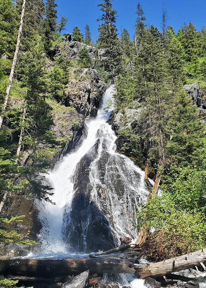 Pine Creek Falls cascades through the forest like nature's own stress-relief therapy, just a short drive from downtown Livingston.