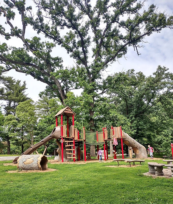 Kids conquer log-themed playground equipment beneath towering trees that provide natural air conditioning all summer long.