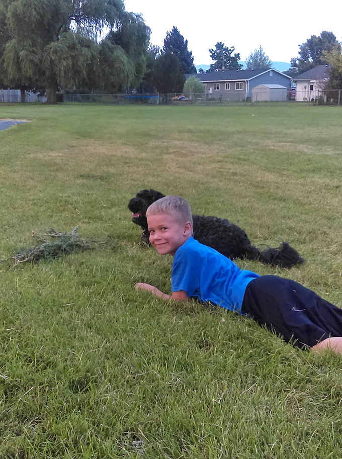 Backyards spacious enough for both kids and dogs to play without choreography. Try finding this much green space in San Francisco without winning the lottery.