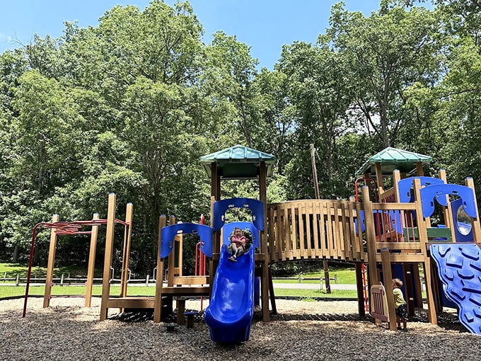 This playground isn't competing with video games; it's offering something better&mdash;actual fun in three dimensions. 