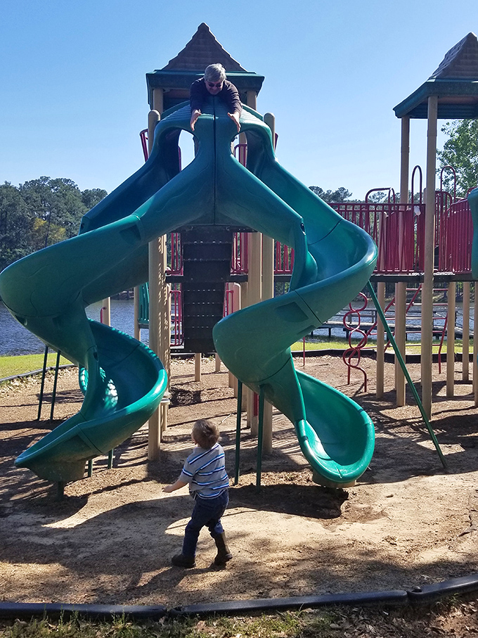 Childhood joy, naturally delivered. These twisting slides promise the kind of screen-free entertainment that creates memories lasting longer than any battery.