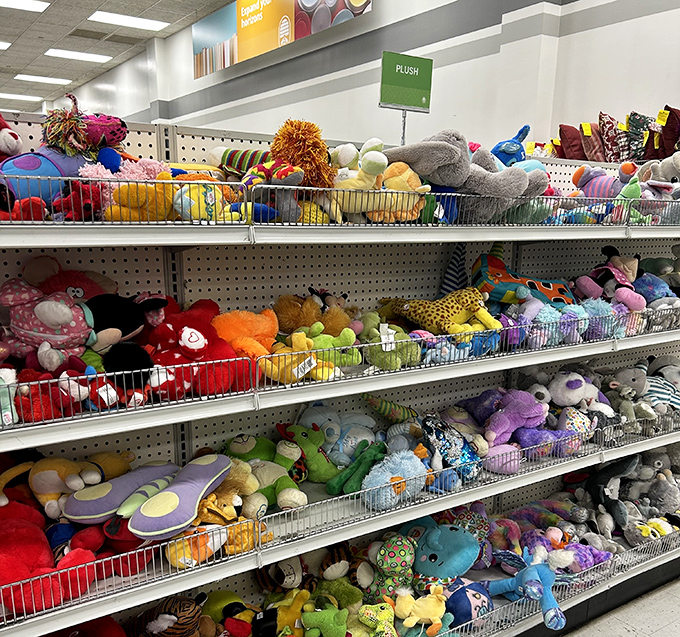 The stuffed animal kingdom&mdash;a colorful menagerie of well-loved teddy bears and exotic plushies seeking their forever homes.