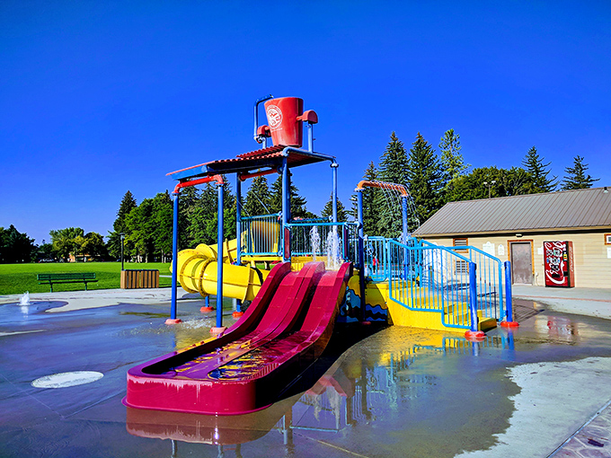 Porter Park's splash pad delivers summer joy without membership fees. Grandkids optional, childlike delight guaranteed.