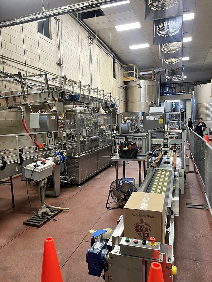 Behind-the-scenes magic where grapes meet their destiny&mdash;stainless steel precision that would make NASA engineers nod in approval.