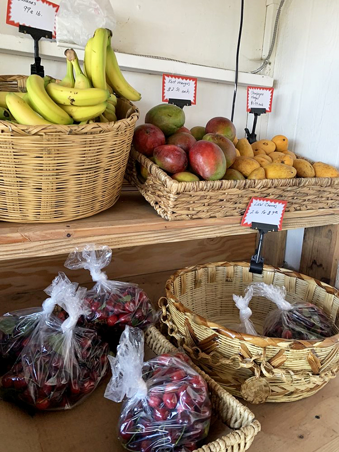 The farm stand's bounty arranged with the casual elegance that only comes from people who truly understand good food.