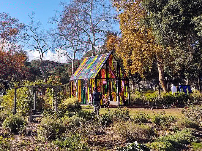 This colorful art installation transforms an ordinary garden path into something that belongs in a contemporary art museum exhibit.