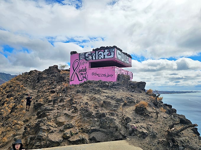 The Pink Pillbox hike rewards sweaty climbers with panoramic ocean views and the most Instagram-worthy rest stop on the island.
